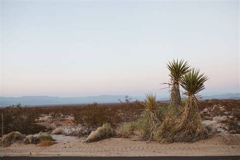 Desert Landscape Del Colaborador De Stocksy Nate And Amanda Howard