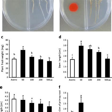 Pdf A Volatile Organic Compound Analysis From Arthrobacter Agilis