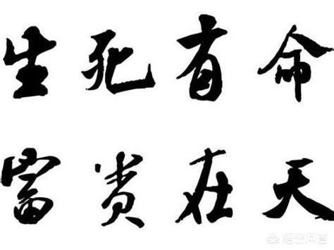 有命无运