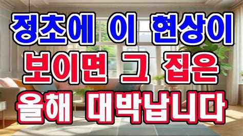 새해 정초에 이 현상이 보이는 집은 무조건 올해 큰 번영과 행복을 얻게 됩니다 Youtube