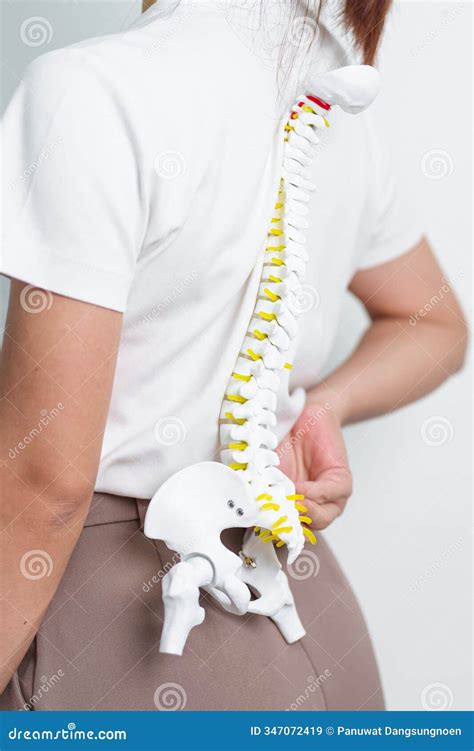 Woman With Human Spine Anatomy Model Spinal Cord Disorder And Disease