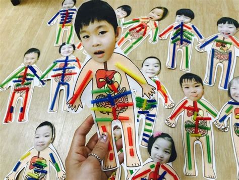5월 몸 프로젝트 빨대로 몸 뼈 만들기 모빌활용기 Cuerpo Humano Para Niños Actividades Del Cuerpo Humano El
