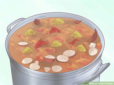 How To Catch Crawfish