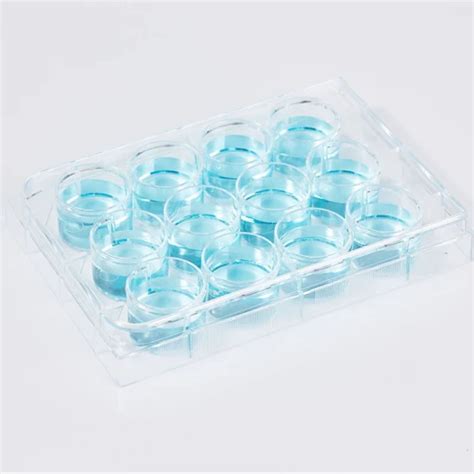 Non Pyrogenic Dnase Free Rnase Free Cell Culture Dish 6 Well 12 Well 24 Well 48 Well 96