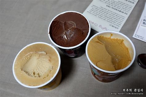 저칼로리 다이어트 아이스크림 스키니피그 3종 솔직 리뷰 네이버 블로그