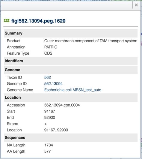 Exploring A Private Genome BV BRC