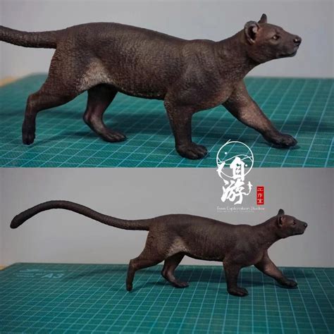 Free Exploration Fossa Model Lana Time Shop