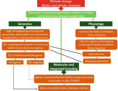 Factors Affecting Yield Of Crops Intechopen