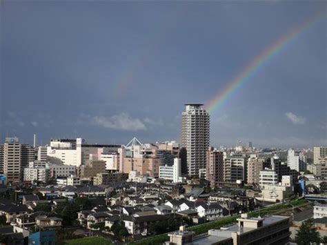 飯島不動産」の基本情報 せいせき 多摩市聖蹟桜ヶ丘駅周辺の商店街