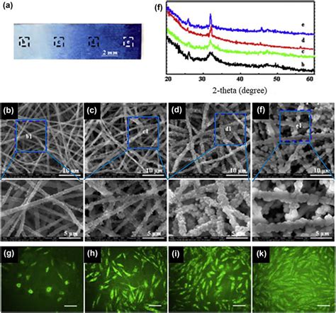 Morphology And In Vitro Evaluation Of Gradient Scaffolds With