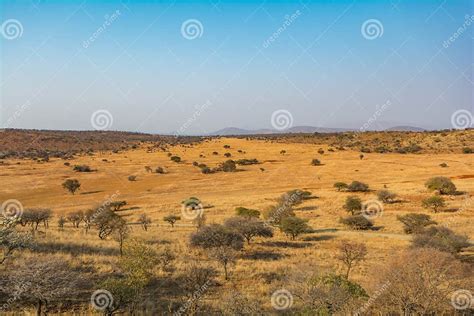 South African Veld Region stock photo. Image of landscape - 79982814