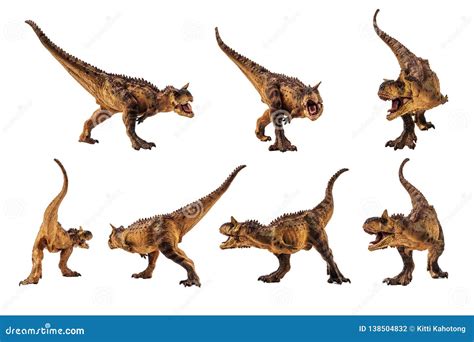 Carnotaurus Dinosaur On White Background Stock Image Cartoondealer