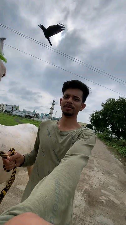 💥आज का दिन 🐎भूरी जी के साथ 😍😚 Minivlogs Shortvideo Youtube