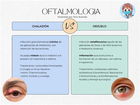 Orzuelo Y Chalazión Fevic Rosendo Udocz