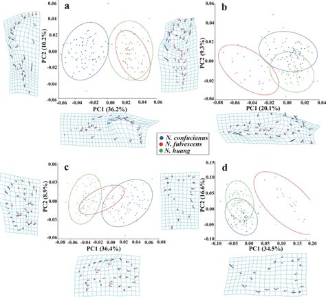 Principal Component Analysis And Thin Plate Splines Of Extreme Value Of