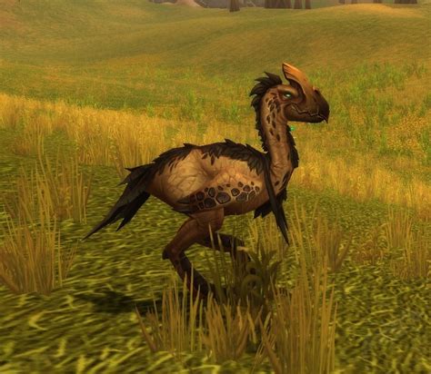 Plainstrider Npc World Of Warcraft