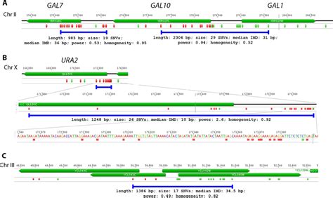 examples of pmcda1 induced transcription associated mutation