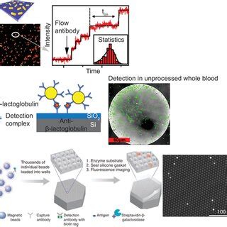 Schematic Of A Single Molecule Captured By A Single Molecule Download Scientific Diagram