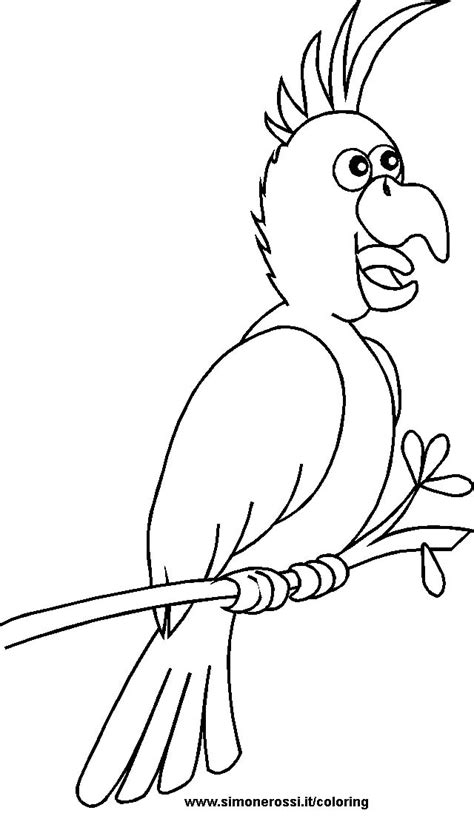 Pappagalli Disegni Per Bambini Da Colorare