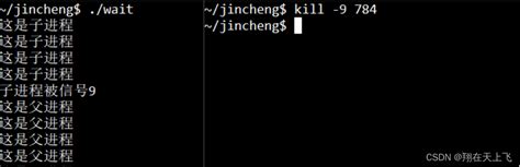 Linux进程管理：wait与waitpid函数详解及示例 Csdn博客