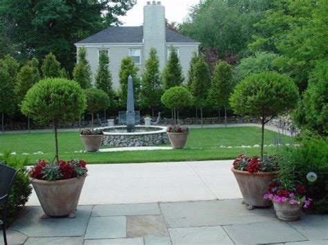 Images About Trees In Containers On Pinterest