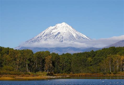 Amy Rosenthal Ce Media