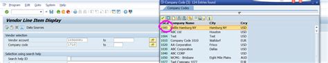 How To Hide Company Codepayment Term From Value Sap Community