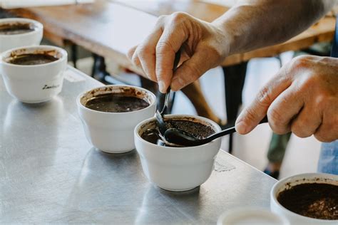 Ucc Quiz 💡 Coffee Is A Crop 🌱 Ucc Coffee Singapore Facebook