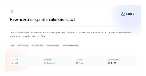 How To Extract Specific Columns In Awk Labex