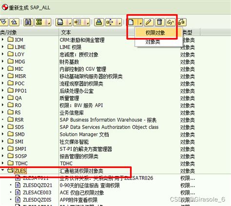 Sap 权限对象 Csdn博客