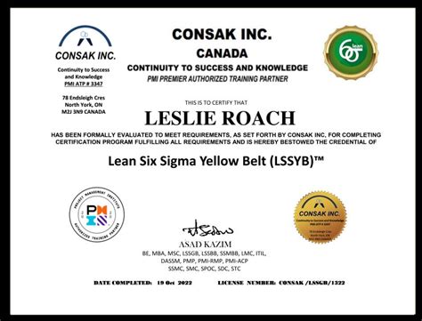 Leslie Roach Pmp®smc® Lssyb™ On Linkedin Leansixsigma 11 Comments