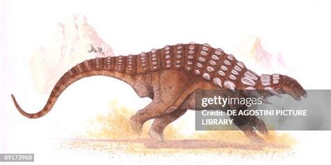 Dinosaur Armor Photos And Premium High Res Pictures Getty Images