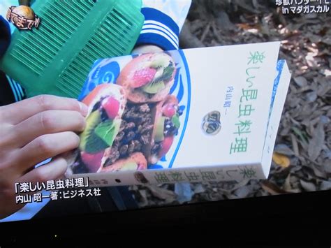 670 イッテQでマダゴキを食べる 昆虫料理研究会
