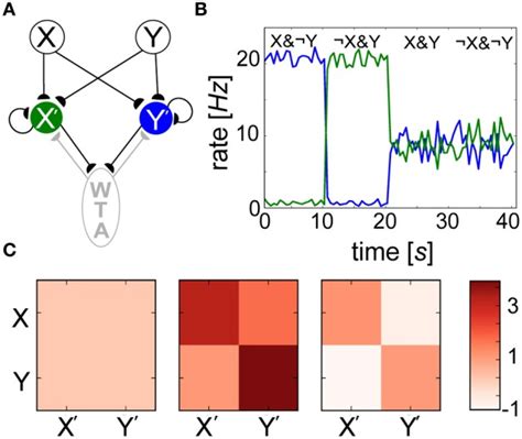 Spiking Bcpnn Performs A Simple Bayesian Inference A Network