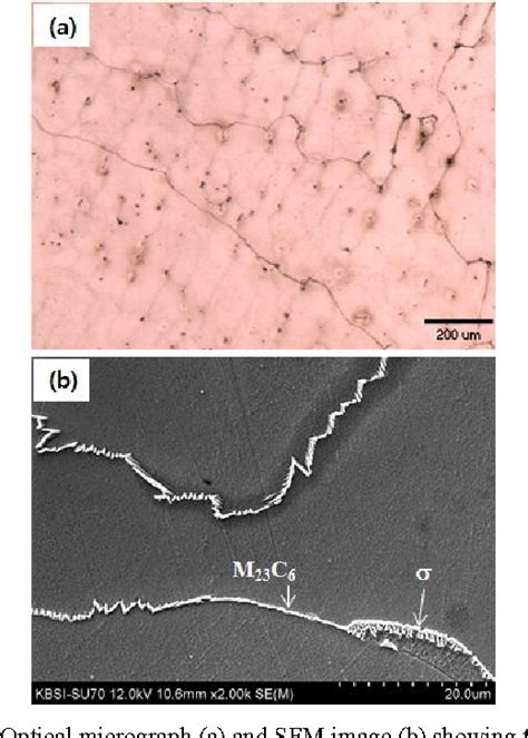 Figure 1 From Microstructure And High Temperature Deformation Behavior Of Cast 310s Alloy