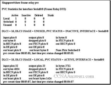 Ccna 4 Module 5 V3 1 Answers