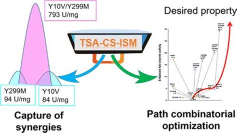 Acs Catalysis X Mol