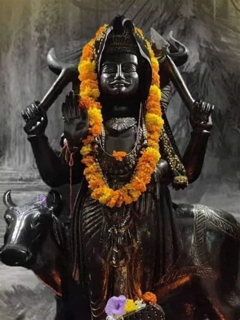 २०२४ मध्ये या ४ राशींवर शनिदेवाची कृपा होईल होऊ शकतो धनलाभ