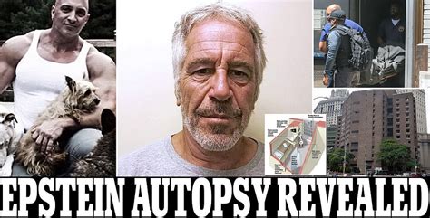 Home Daily Mail Online