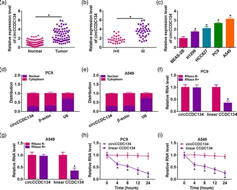 The Expression Of Circccdc134 In Non‐small Cell Lung Cancer Nsclc