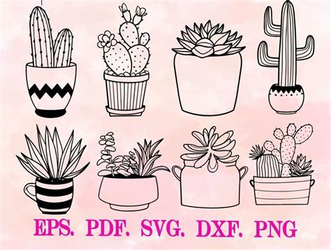 Potted Plants And Cacti On A Pink Background With The Words Epss Pdf