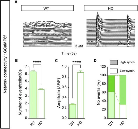 Dysfunctional Reorganization Of Corticostriatal Connectivity And Download Scientific Diagram