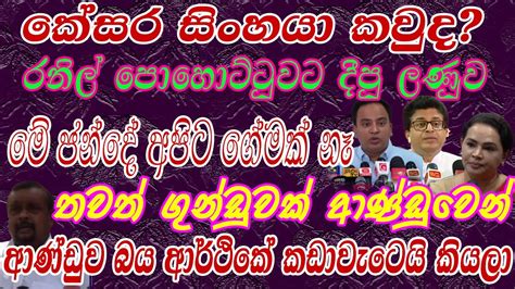 කේසර සිංහයා කවුද රනිල් පොහොට්ටුවට දීපු ලණුව මේ ජන්දේ අපිට ගේමක් නෑ