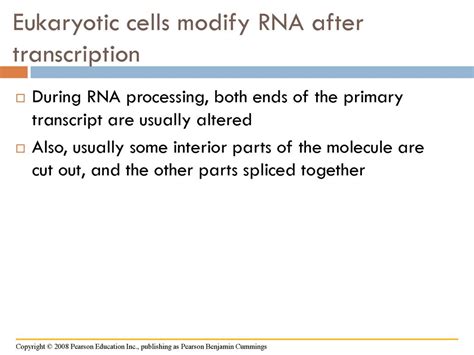 Protein Synthesis Ppt Download