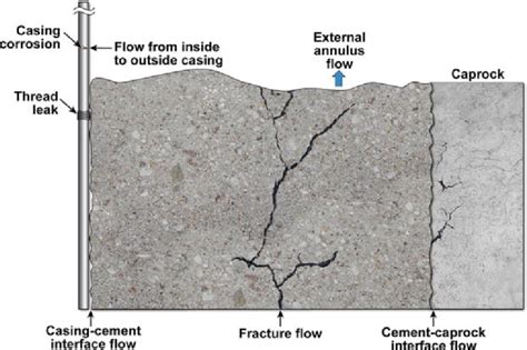 Schematic Diagram Of Co2 Flow In Wellbore Formation Rocks And Download Scientific Diagram