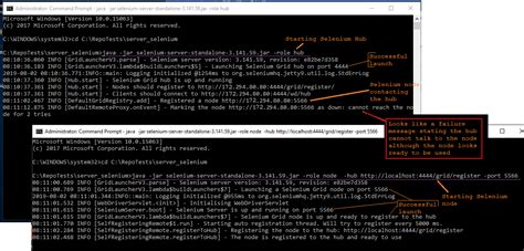 Selenium Server Marking The Node 17229480805566 As Down