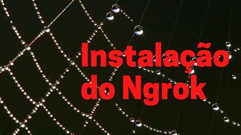 instalaÇÃo do ngrok no kali linux youtube