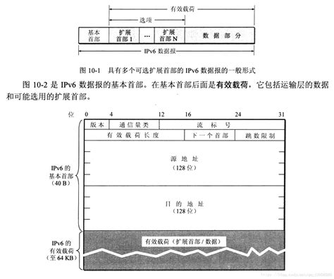 Ip协议首部详解orgotf 开放原子开发者工作坊