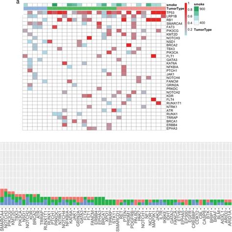 Mutation Spectrum Of Large Cell Carcinoma Lcc Large Cell