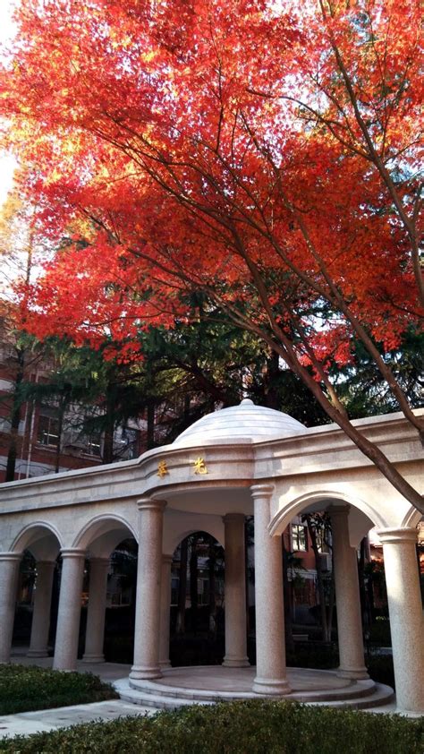 群星闪耀时，五中欢迎你！ 苏州市第五中学